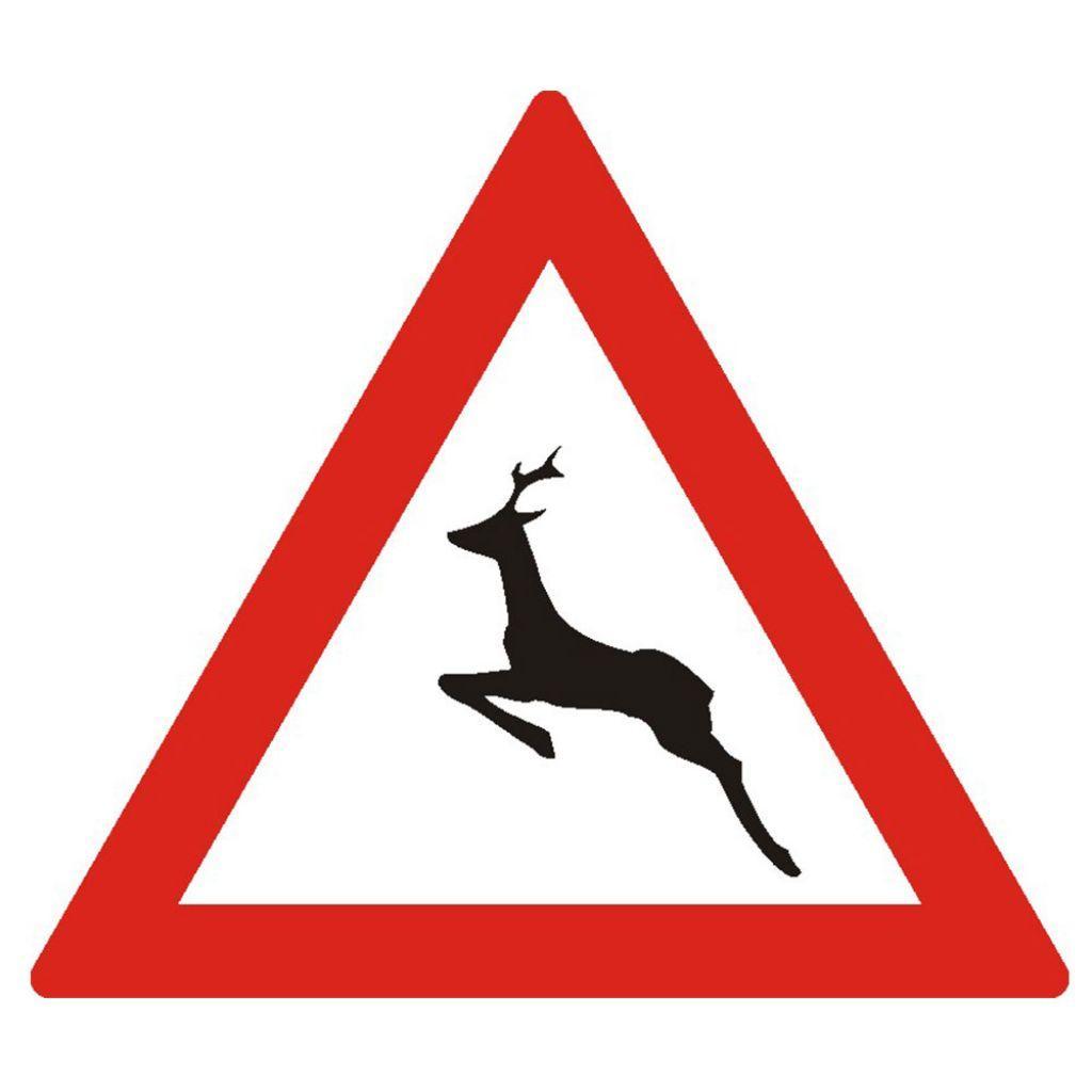 Indicatoare De Avertizare | Reunit